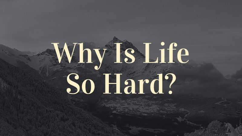 Life is hard – Thoughts from a Guerrilla Worker